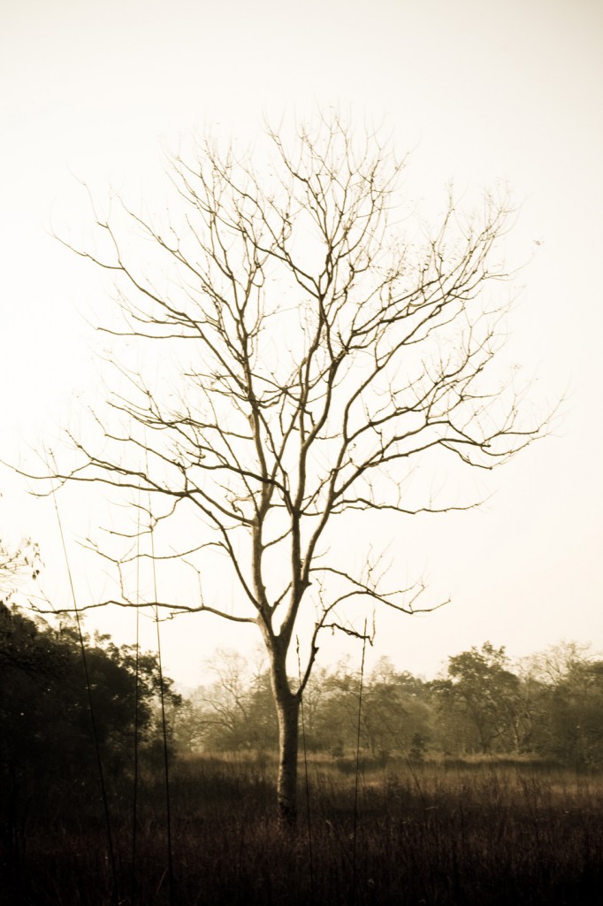 Jim Corbett | Footwa